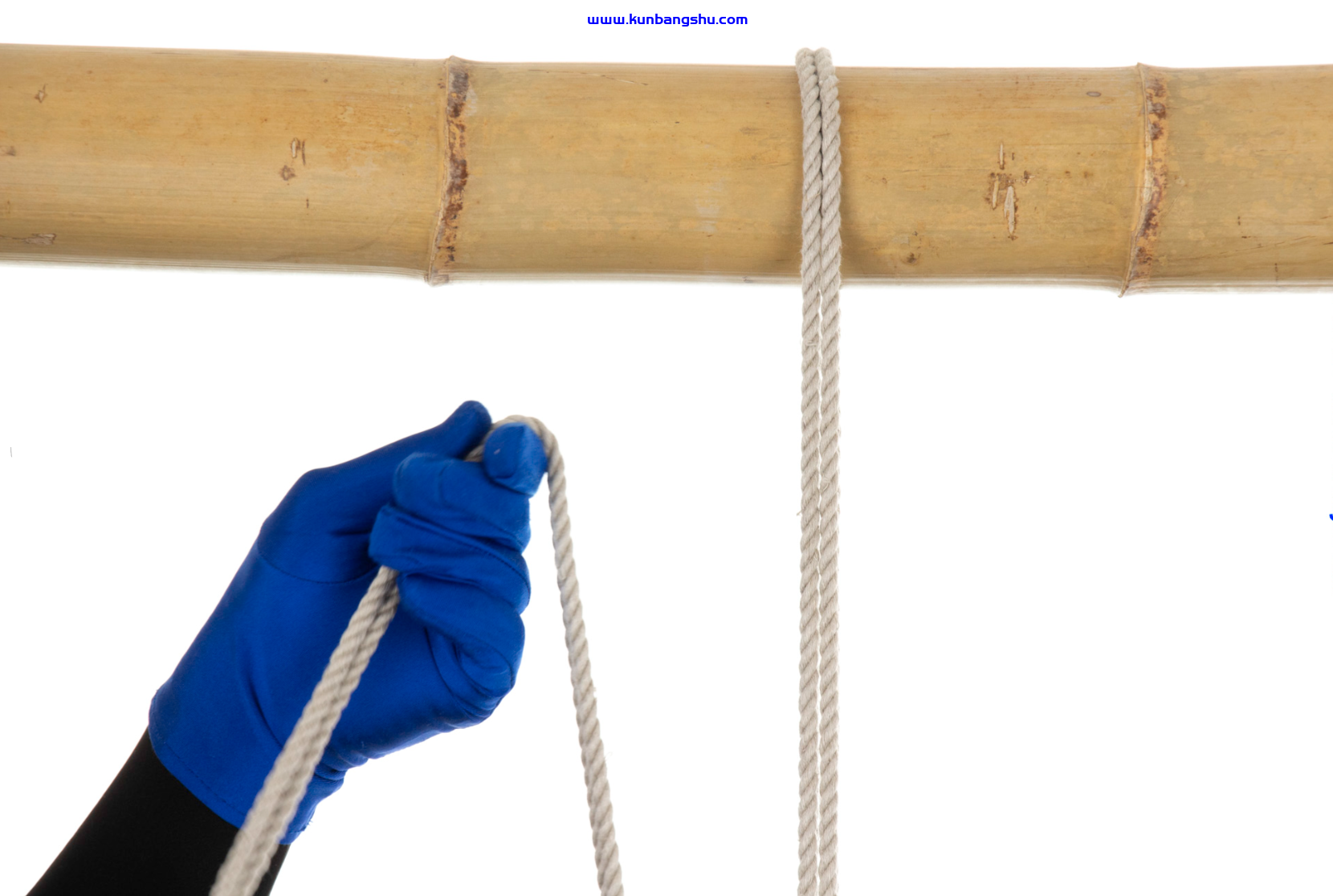 龟壳臀束 【38P+1V 】_捆绑术